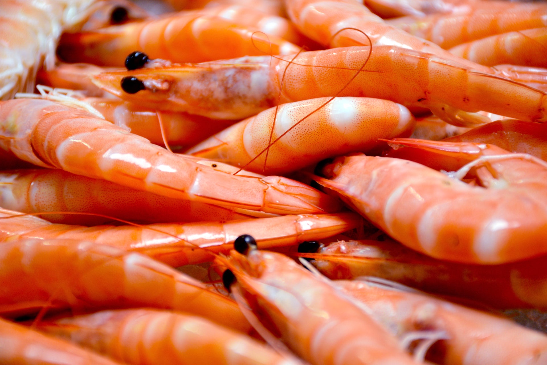 Contact – Khachane